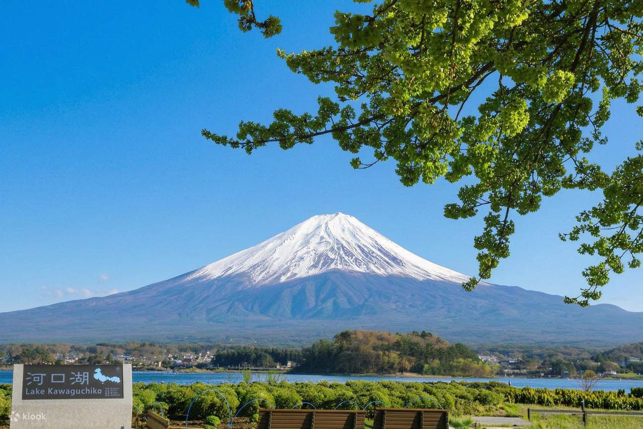 [Mount Fuji Popular Scenic Spot Check-in Day Trip] Itchiku Kubota Art ...
